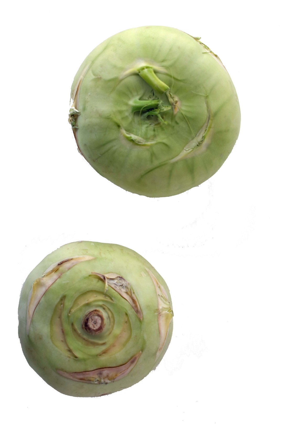 Kohlrabi Slaw - Love That Crunch! - The Culinary Exchange